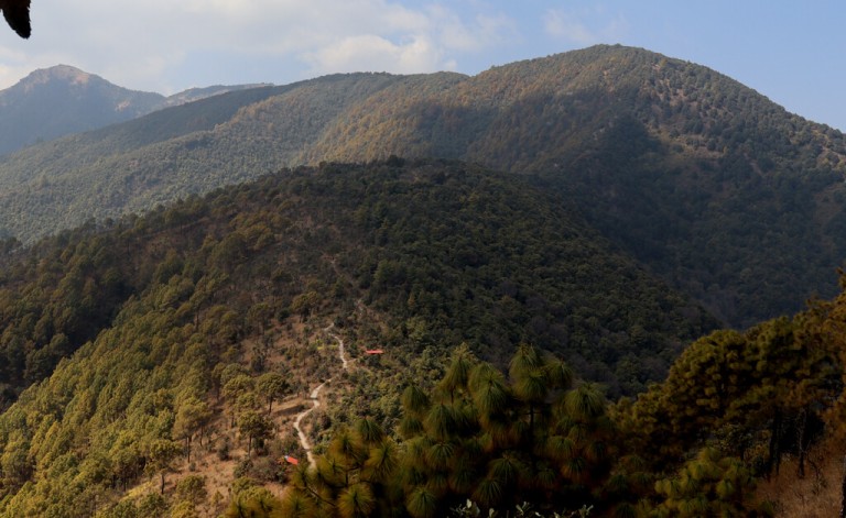 Champadevi Hiking 2024 | 1 Day Hike Tour in Kathmandu