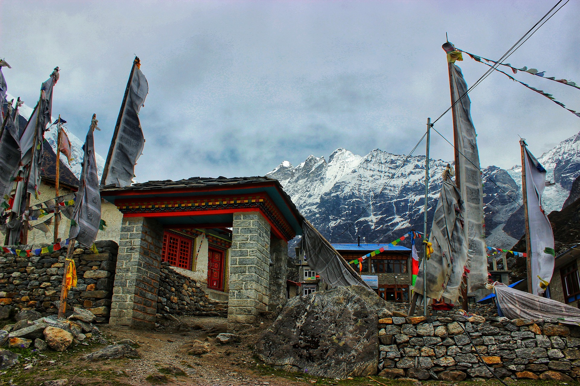 Langtang Valley Trek: A Serene Himalayan Escape for Nature Lovers